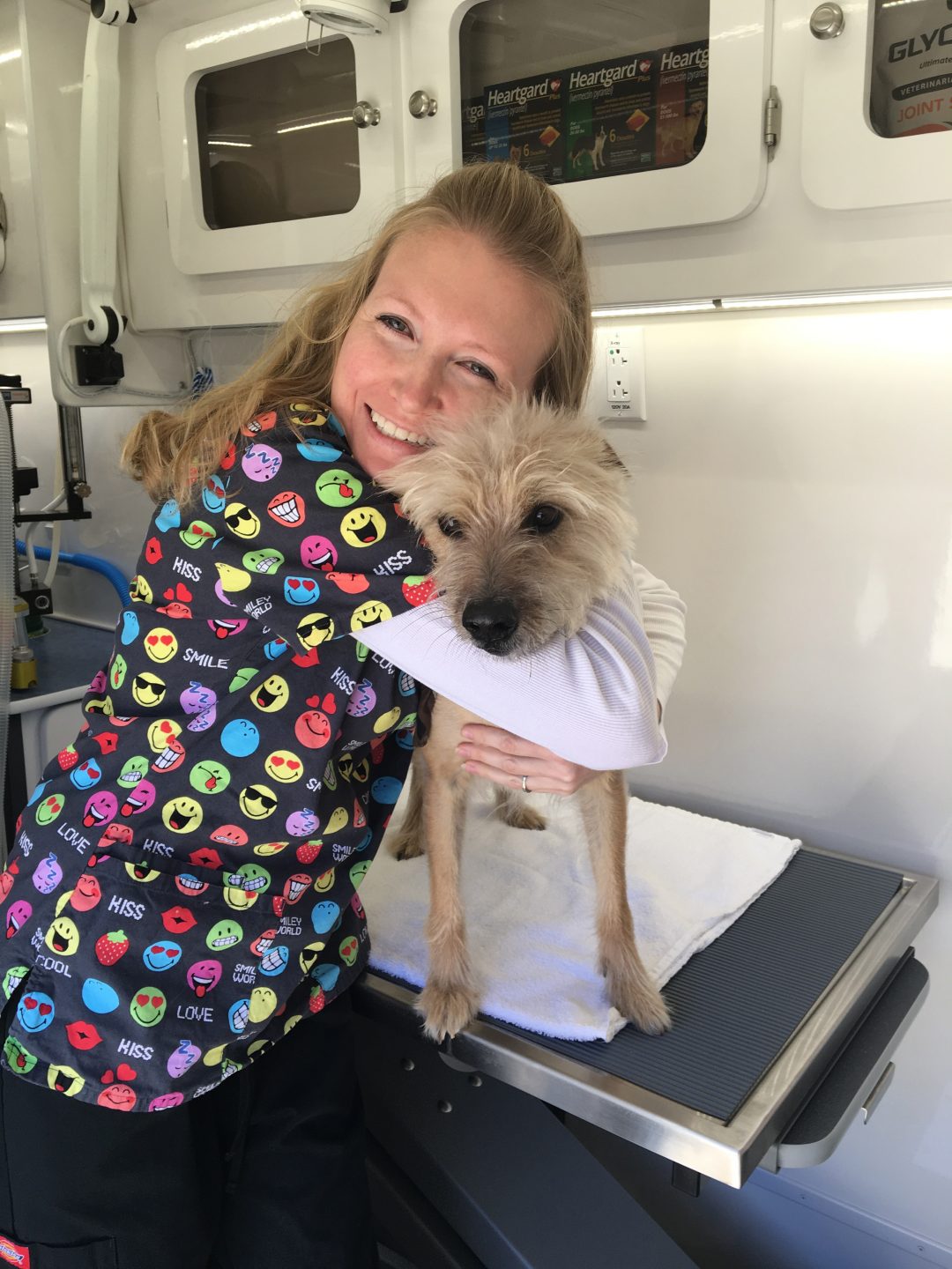 About Us | Vet Plus Pet Mobile Veterinary Services