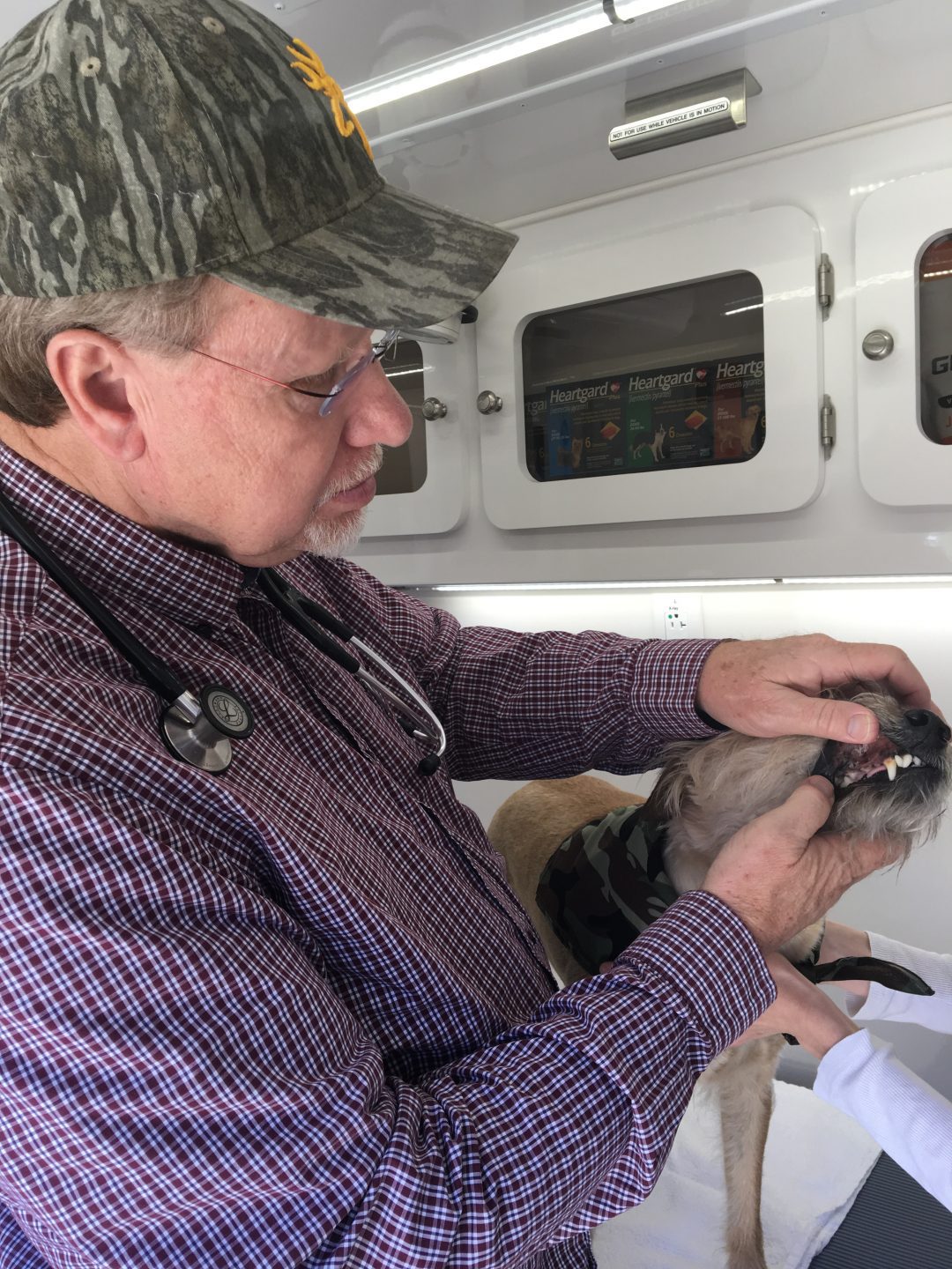 About Us | Vet Plus Pet Mobile Veterinary Services